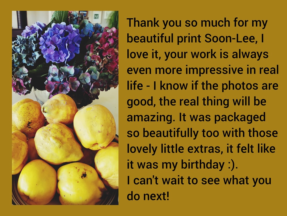 What I’ve Been Up To – Soon-Lee Spicer – Artist